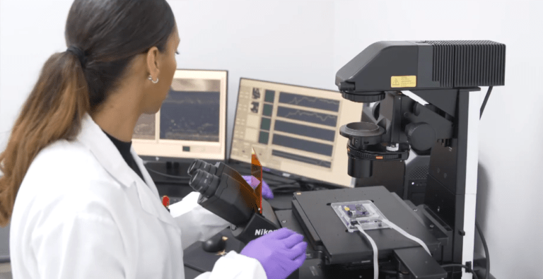 Hesperos Human-on-a-Chip® Models Immune System Response