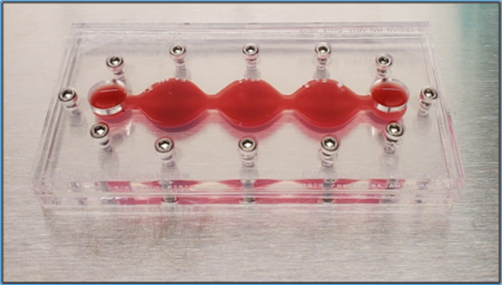 New Publication in Nature Scientific Reports: Malaria-on-a-Chip ...